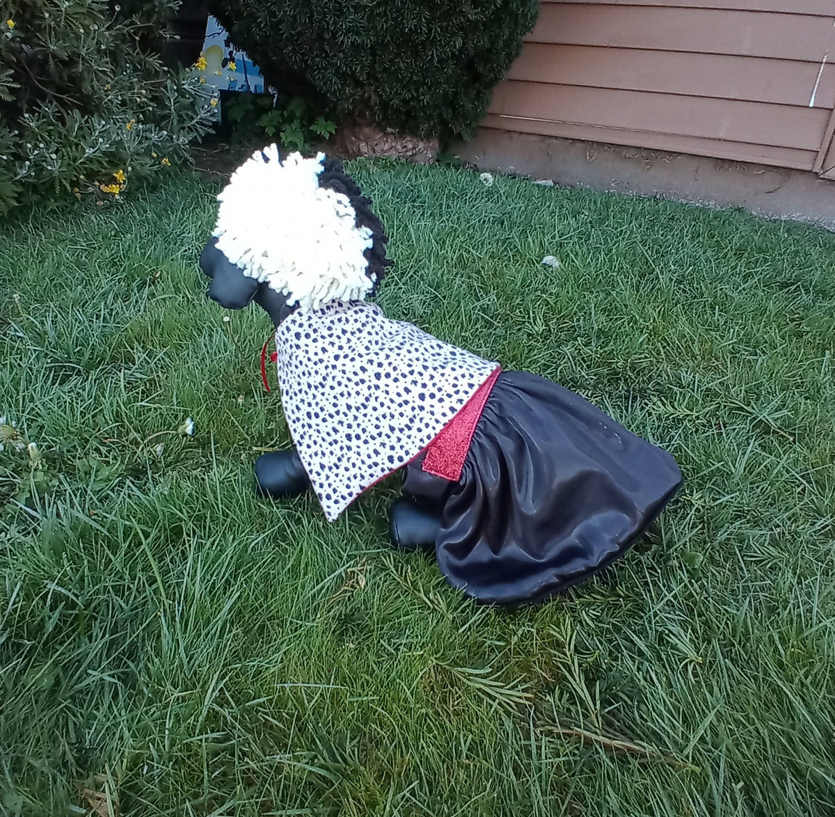 Cruella De Vil dog costume – Petstore.com