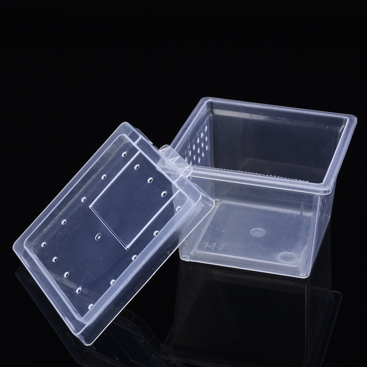 Transport and Feeding Container – Petstore.com